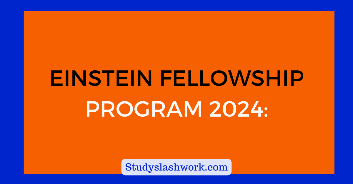 EINSTEIN FELLOWSHIP PROGRAM 2024: - StudySlashWork